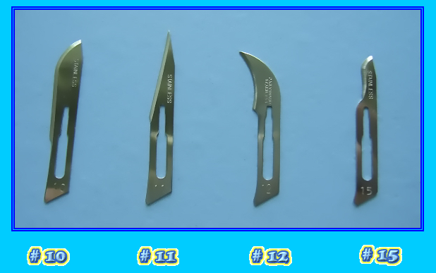 Blade Types You Need to Know | Time of Care