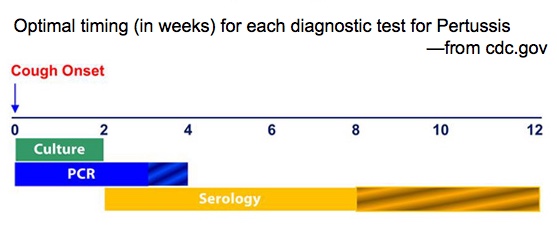 Pertussis (Whooping Cough) | Time of Care