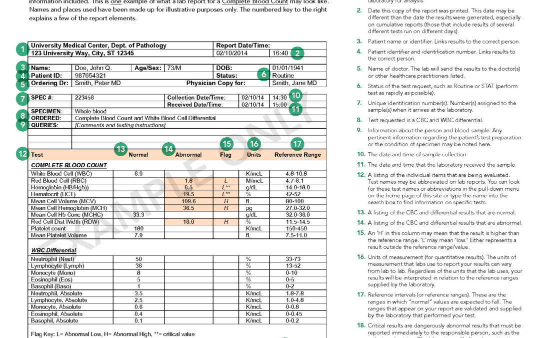 SampleCBCReport_fromlabsonline | Time of Care